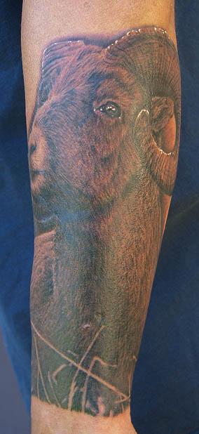 Bug Horn Tattoos Graham Added This Rocky Mountain Bighorn To Matt's